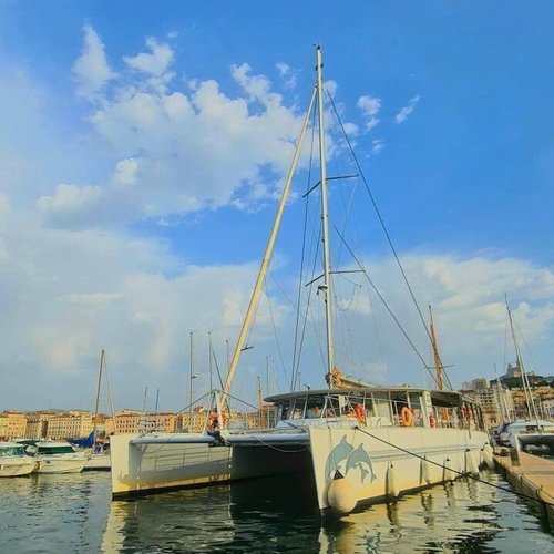 Day trip aboard a maxi catamaran from Marseille